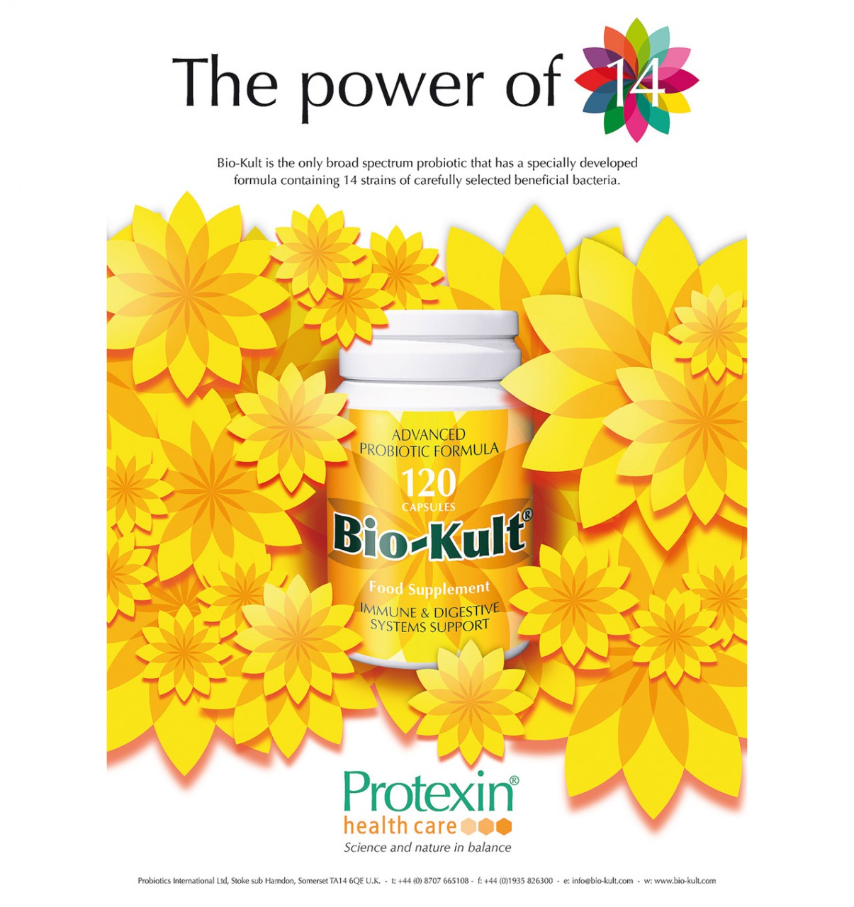 brandgarden.co - Creative branding consultant